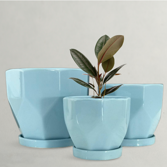 Blue Planters Blue Plant Pot Buy At Affordable Price Plantology Lab