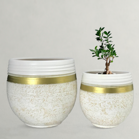 White Clay Pots For Plants - White Clay Plant Pots - Indoor Clay Pots ...