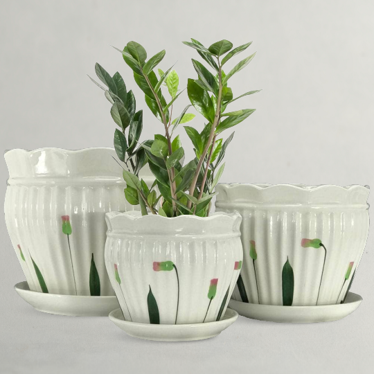 White Ceramic Planter - Large White Ceramic Planter - Shop Now ...